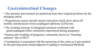 Comprehensive Overview of Physiological Changes During Pregnancy | PPTX