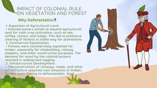 environment and colonial rule , vegetation and wildlife in india | PDF