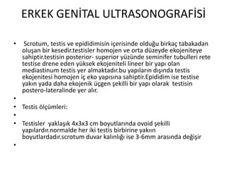 prostat ultrasonografisi | PPT