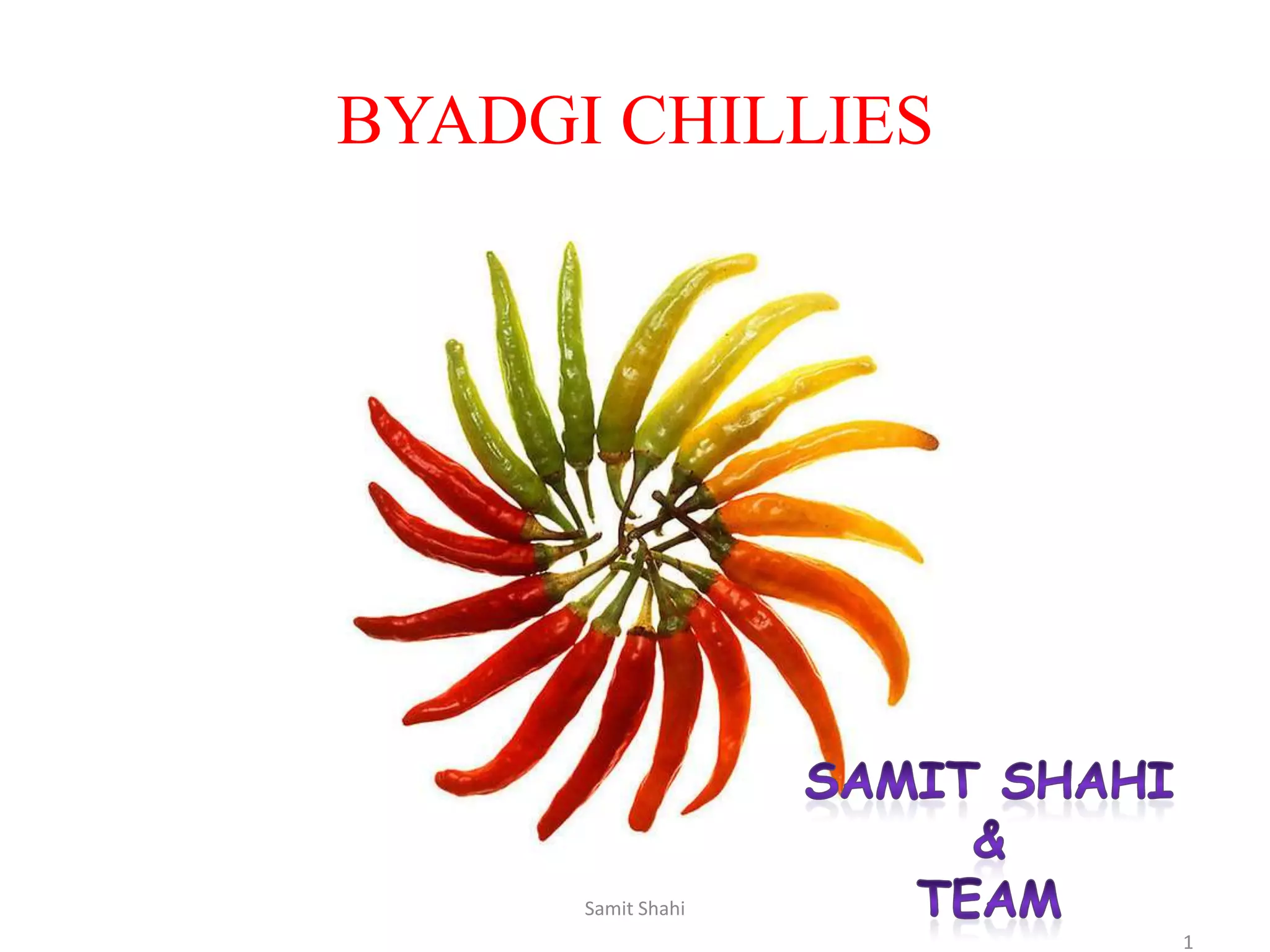 Byadgi chillies, know more about chilliiii..... | PPTX