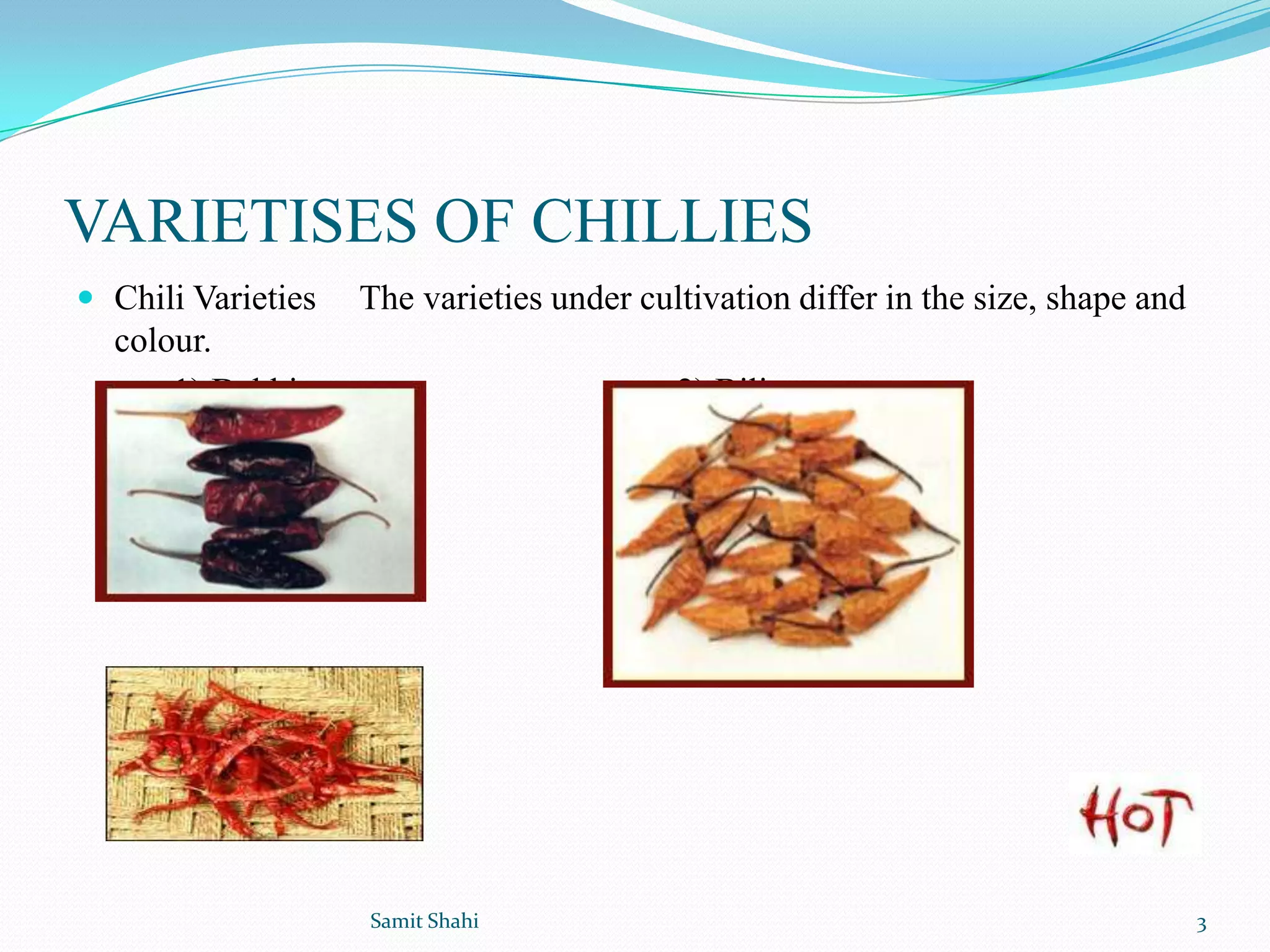 Byadgi chillies, know more about chilliiii..... | PPTX