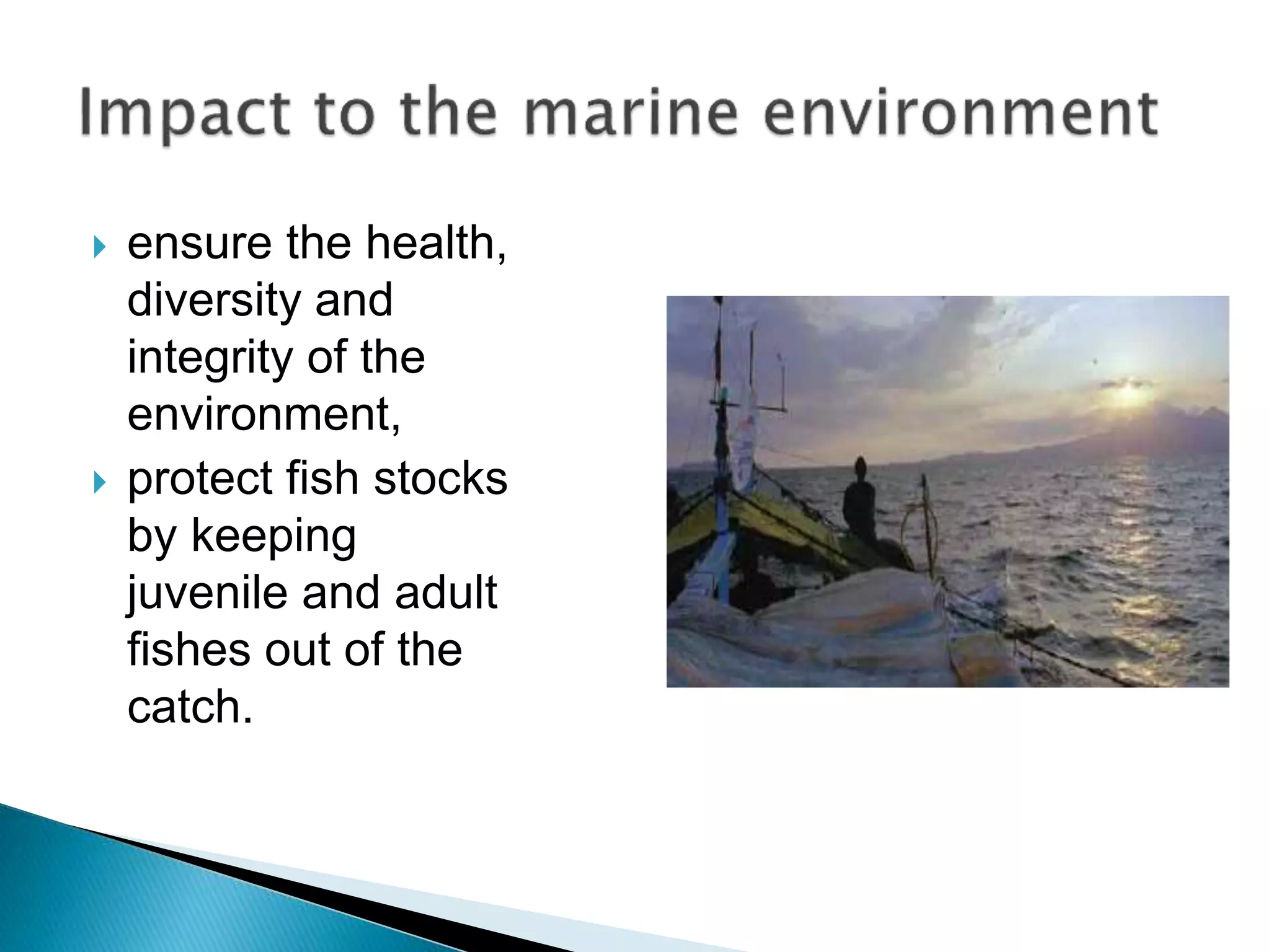 Bycatch Reduction Devices | PPTX