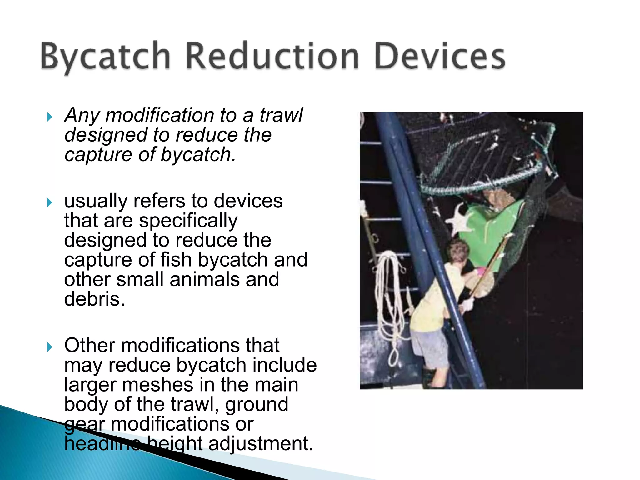 Bycatch Reduction Devices | PPTX