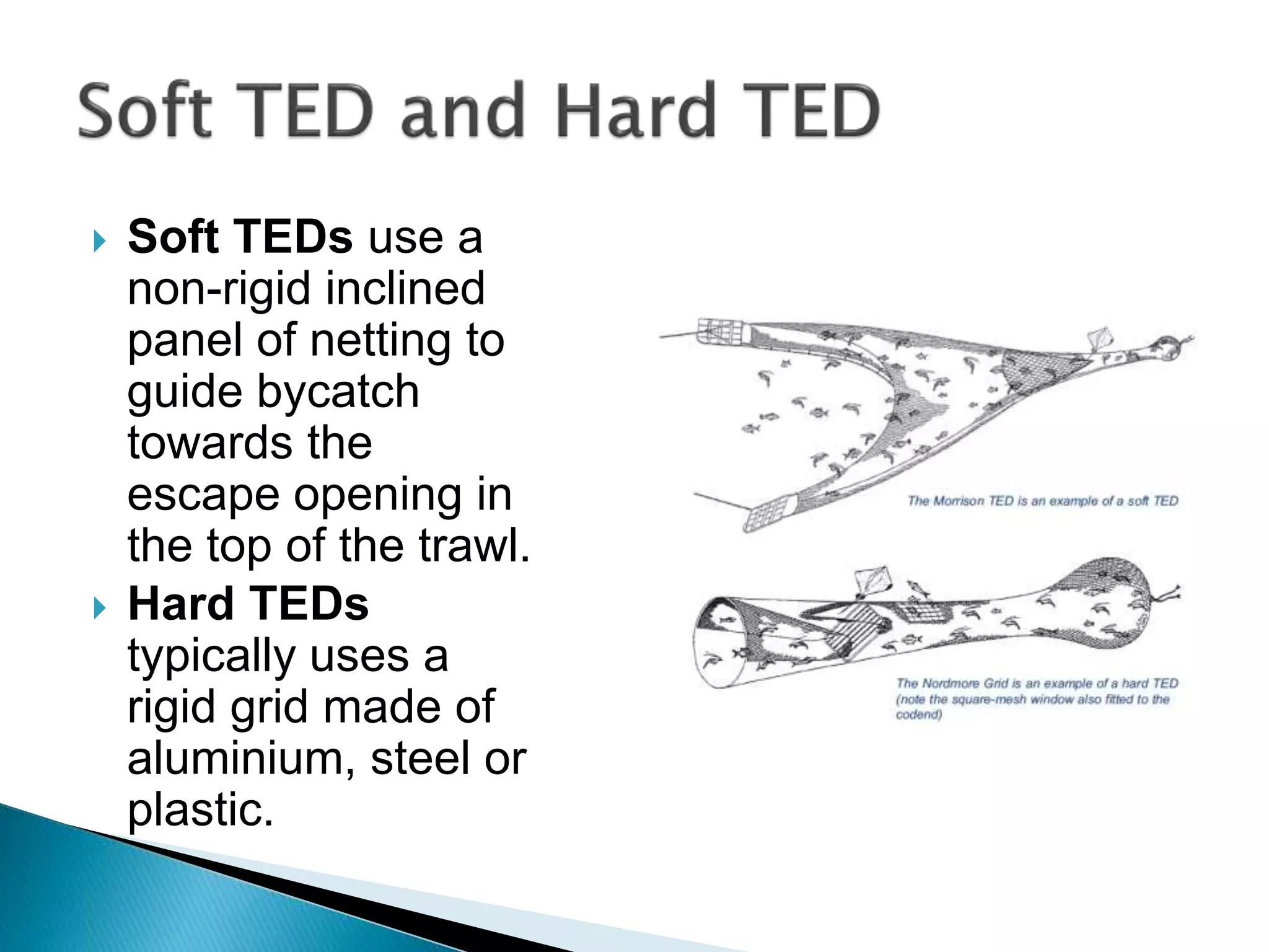 Bycatch Reduction Devices | PPTX