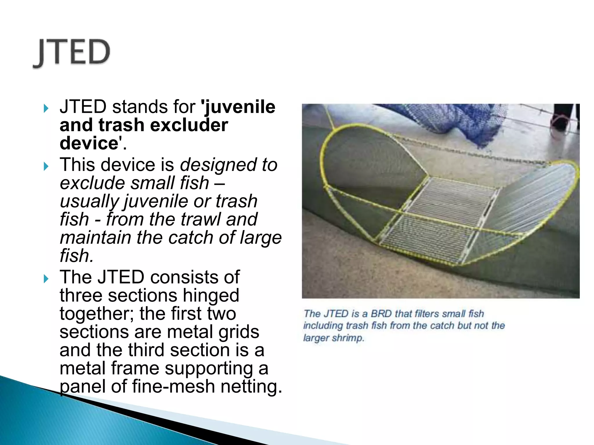 Bycatch Reduction Devices | PPTX