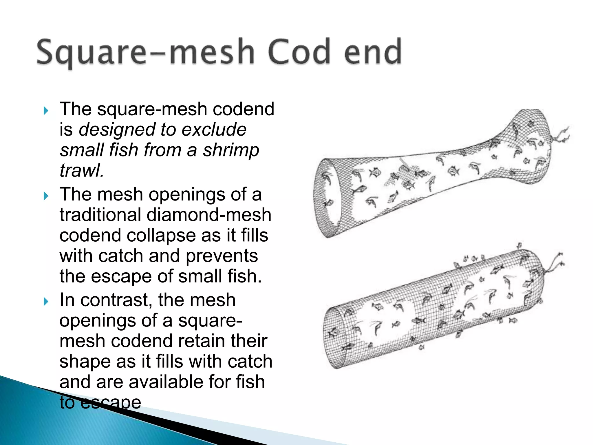 Bycatch Reduction Devices | PPTX