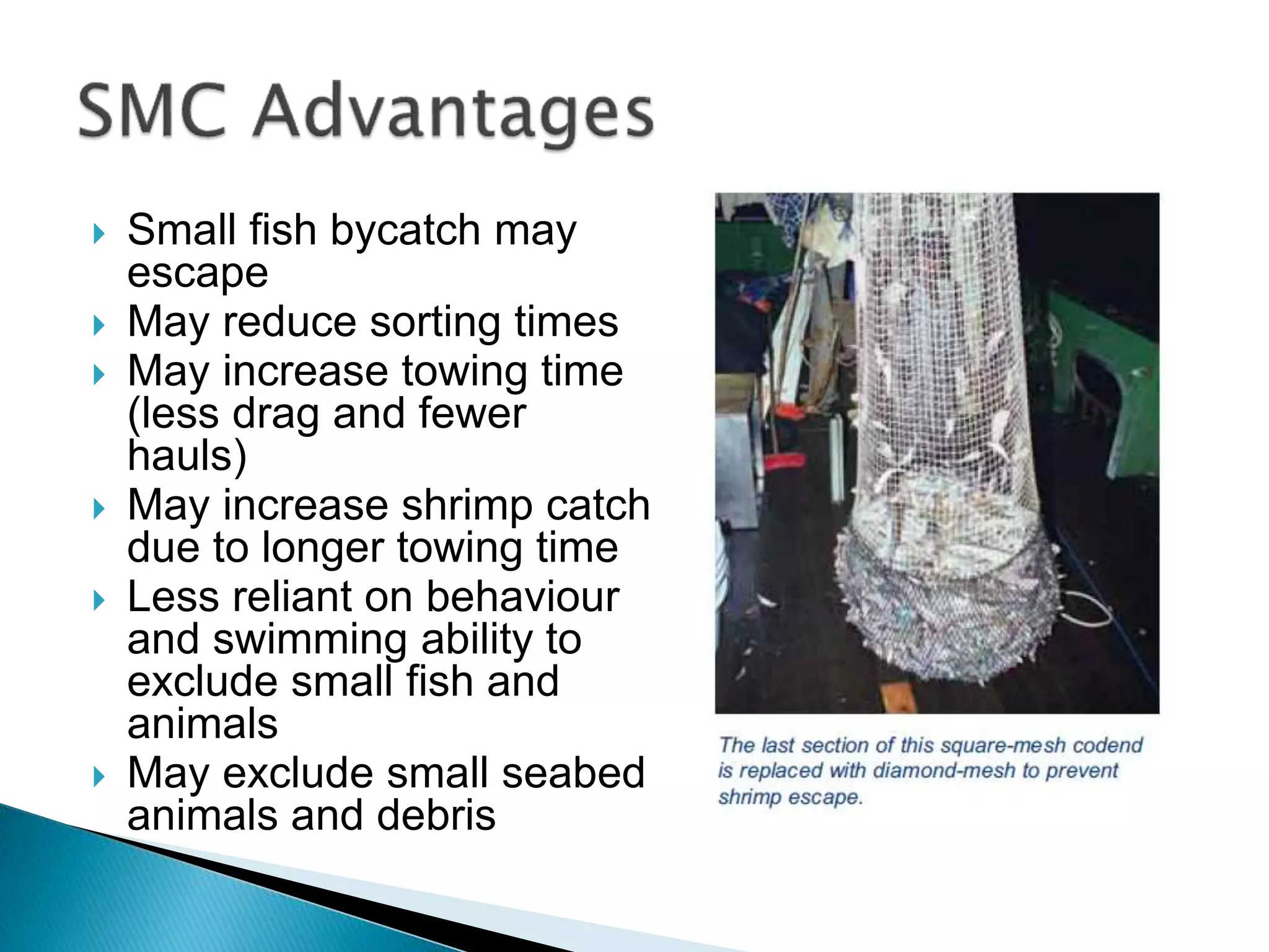 Bycatch Reduction Devices | PPTX