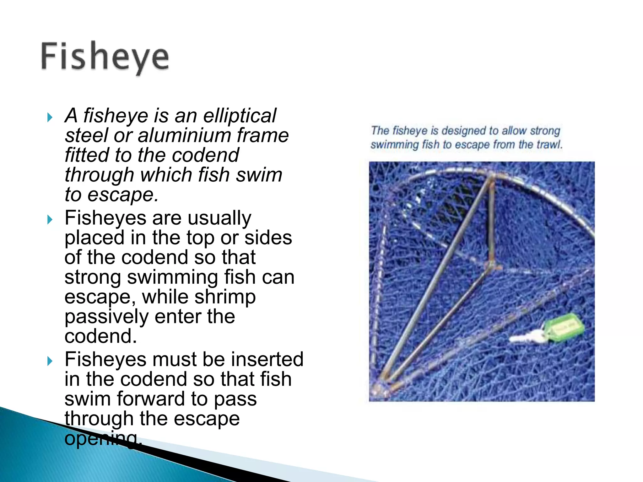 Bycatch Reduction Devices | PPTX