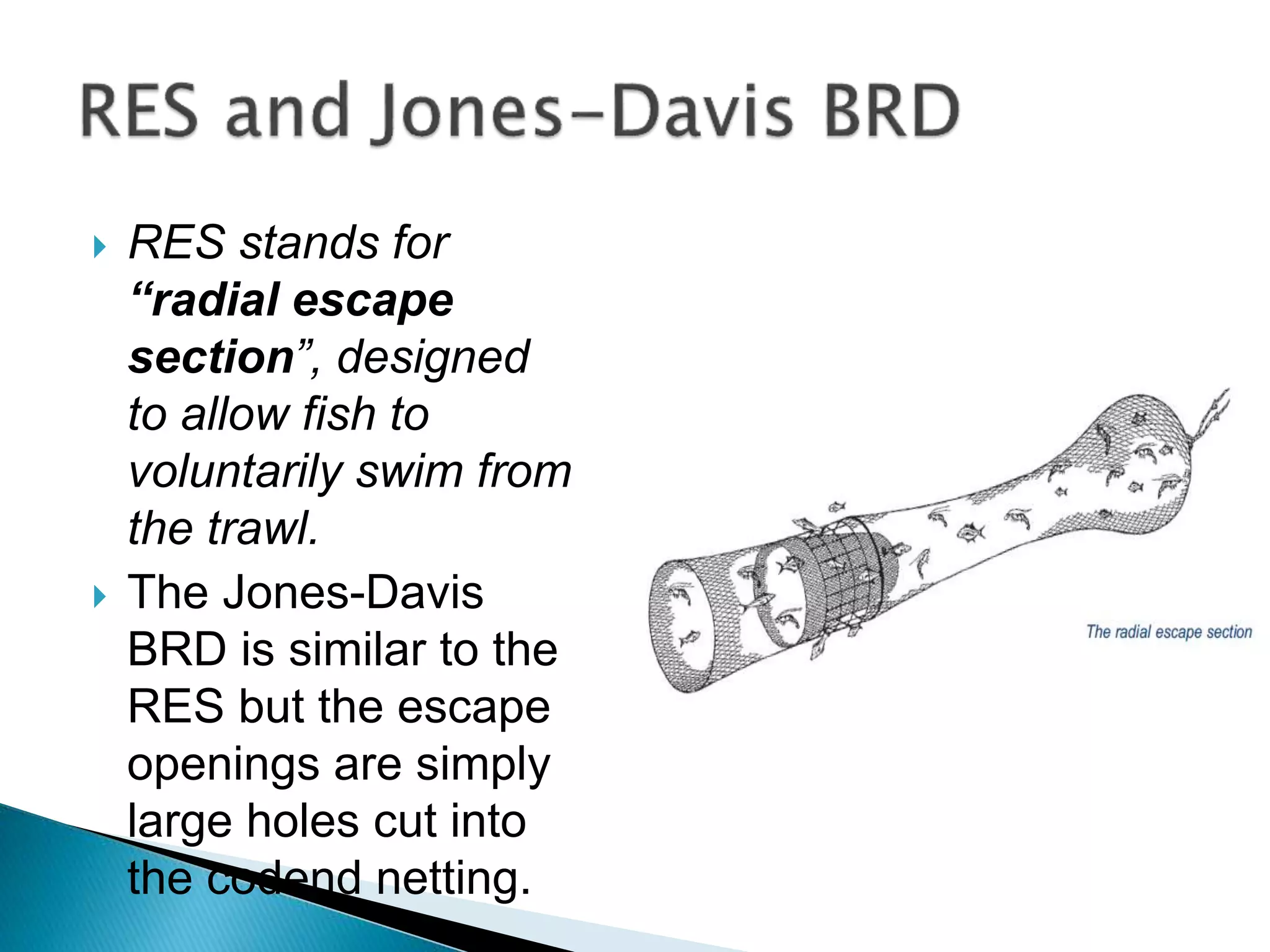 Bycatch Reduction Devices | PPTX