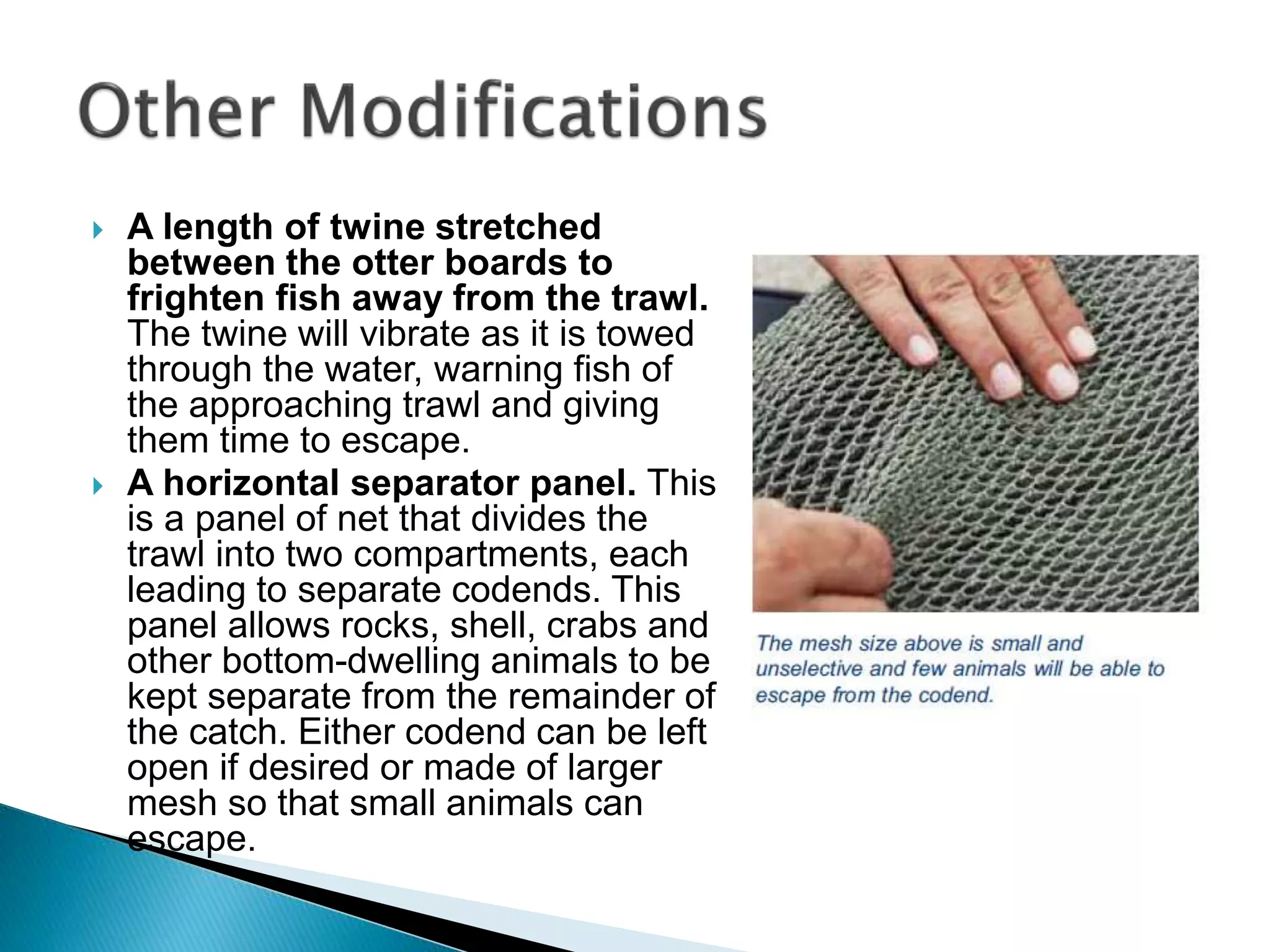 Bycatch Reduction Devices | PPTX