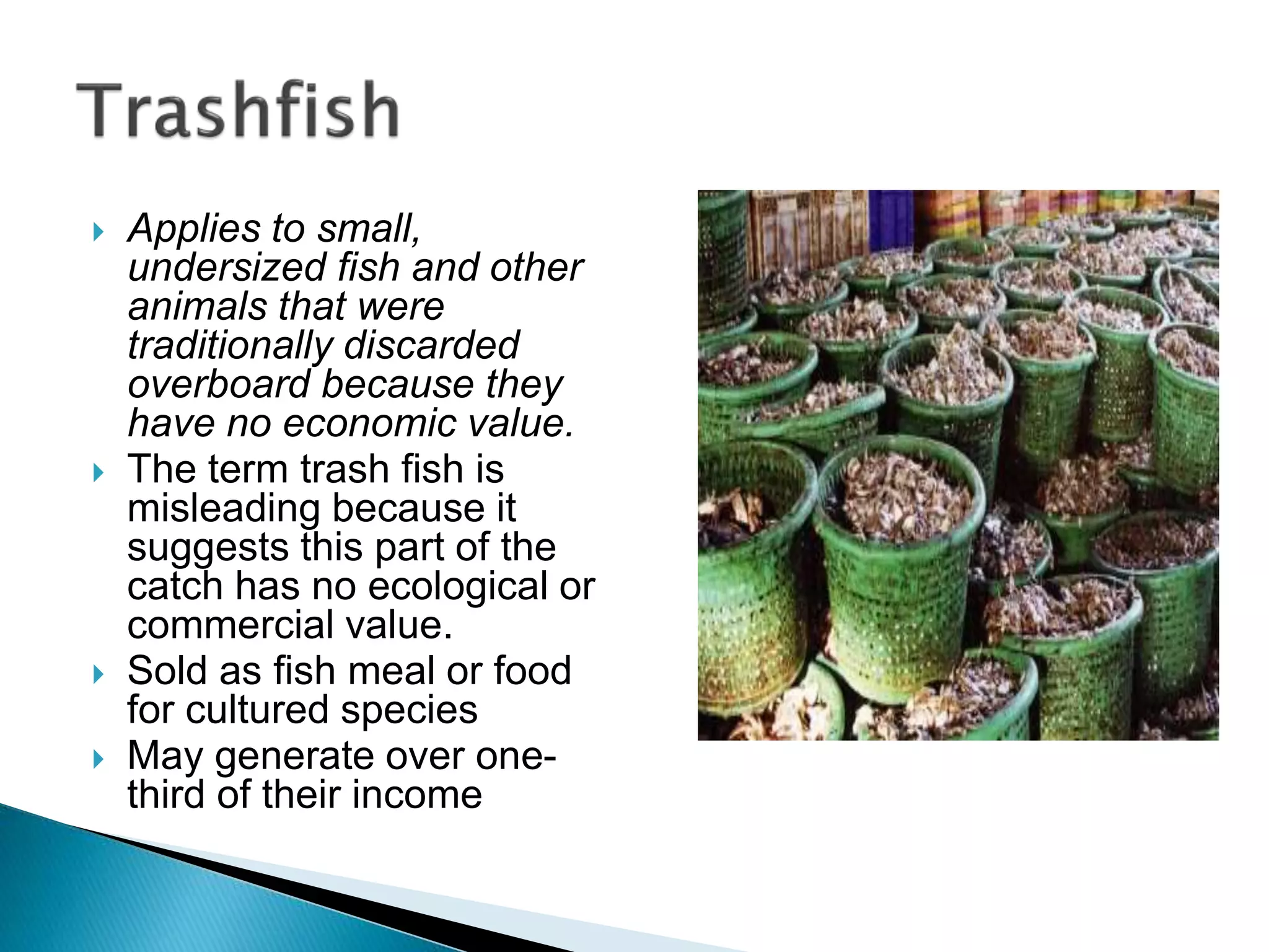 Bycatch Reduction Devices | PPTX