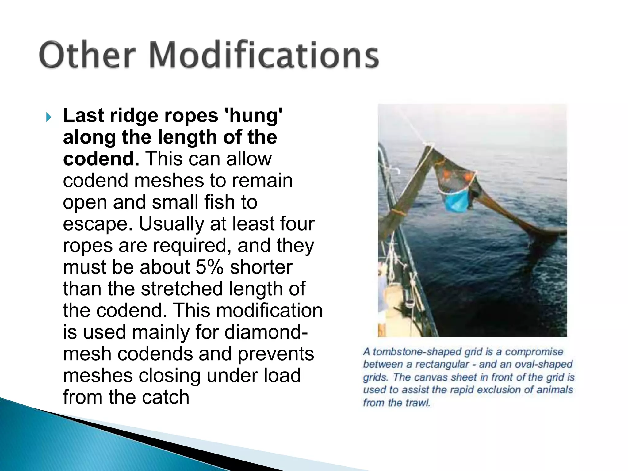 Bycatch Reduction Devices | PPTX