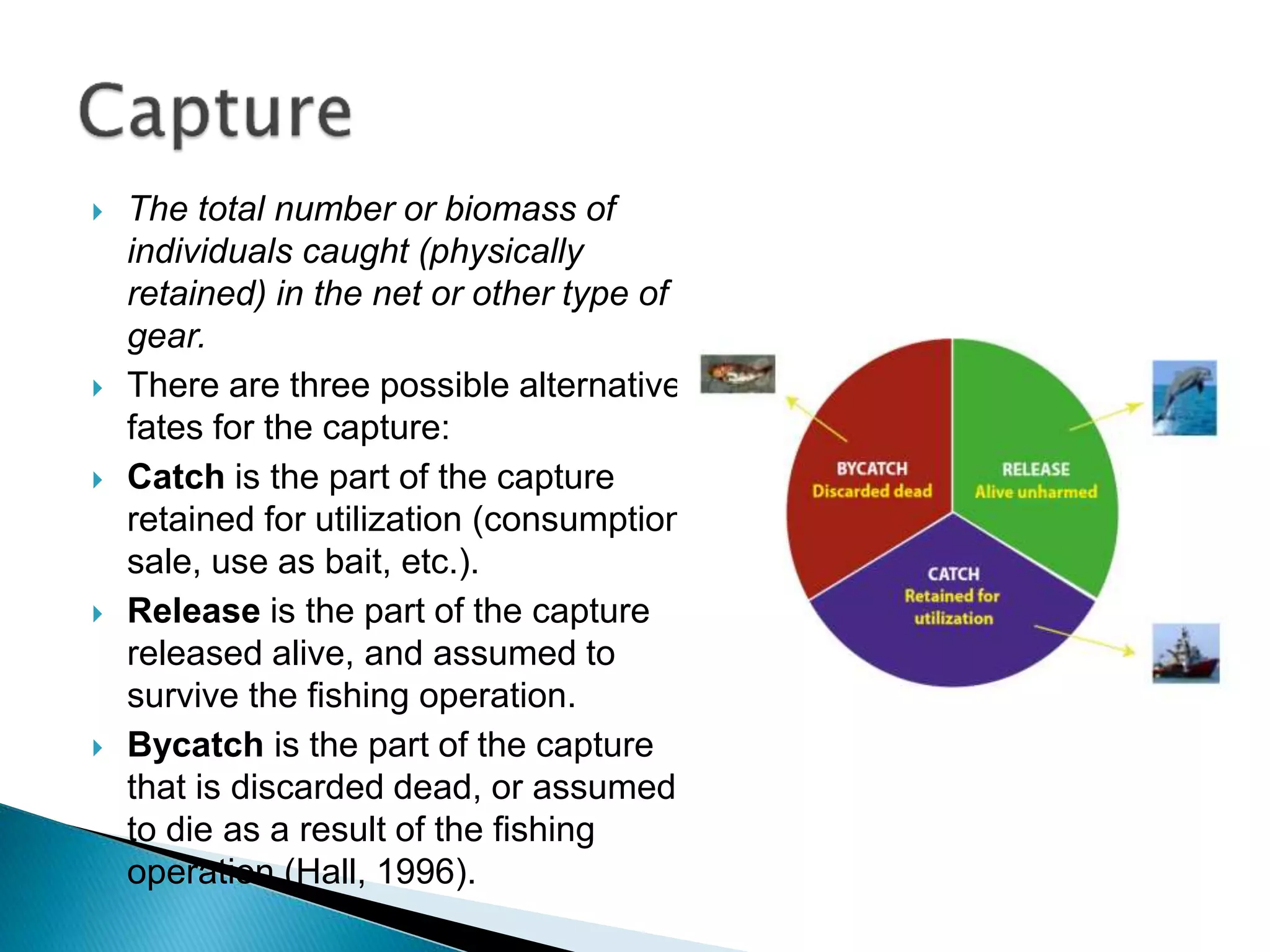 Bycatch Reduction Devices | PPTX