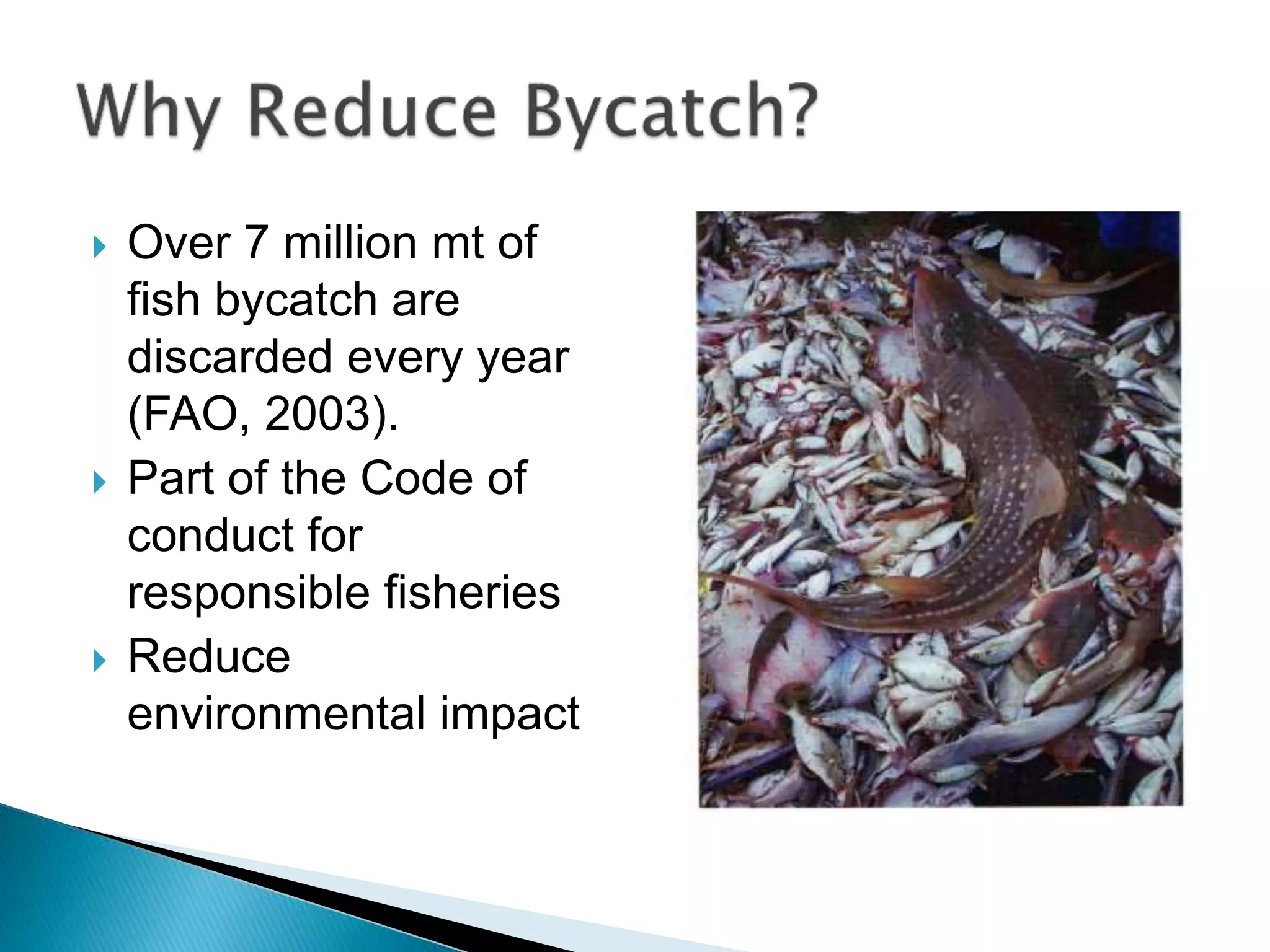 Bycatch Reduction Devices | PPTX
