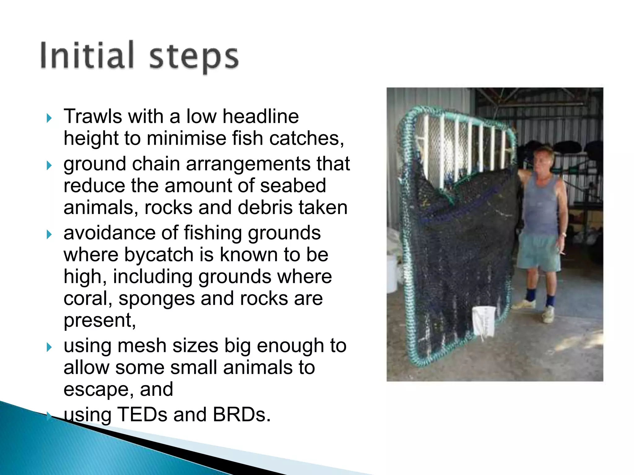 Bycatch Reduction Devices | PPTX