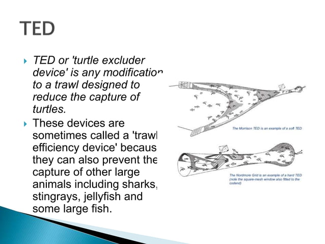 Bycatch Reduction Devices | PPTX