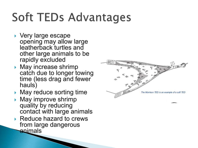 Bycatch Reduction Devices | PPTX