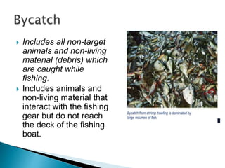 Bycatch Reduction Devices | PPTX