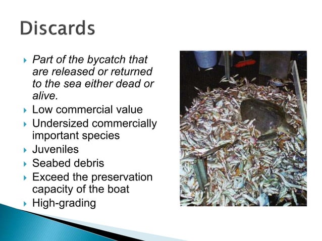 Bycatch Reduction Devices | PPT