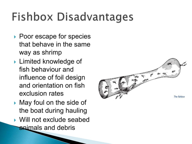 Bycatch Reduction Devices | PPTX