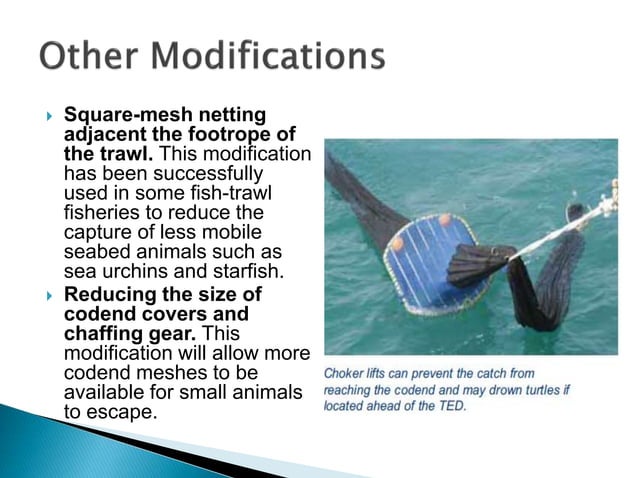Bycatch Reduction Devices | PPT