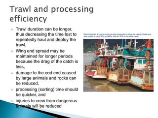 Bycatch Reduction Devices | PPTX