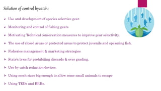 Bycatch and Discard and their sollution & effect | PPTX