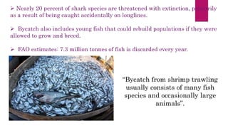 Bycatch and Discard and their sollution & effect | PPTX