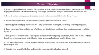 Bycatch and Discard and their sollution & effect | PPTX
