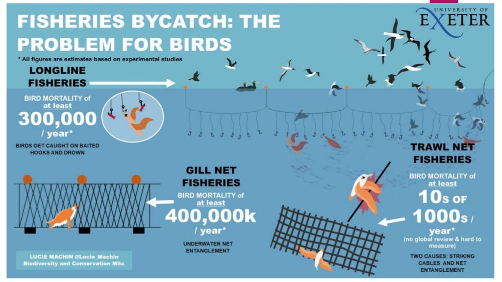 Bycatch and Discard and their sollution & effect