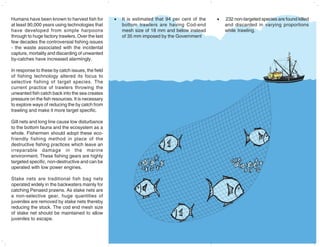 bycatch.pdf