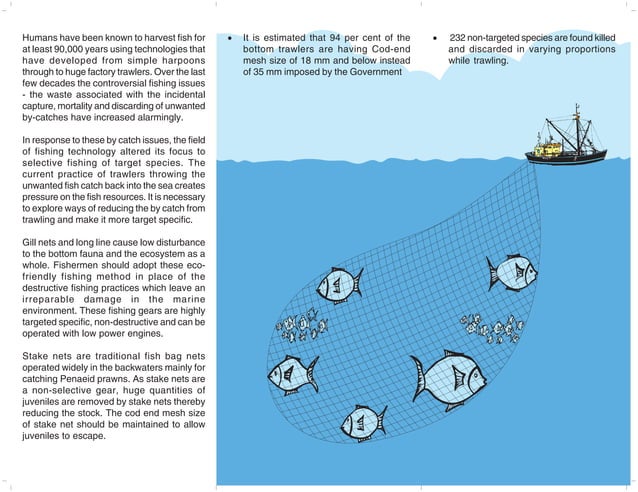 bycatch.pdf