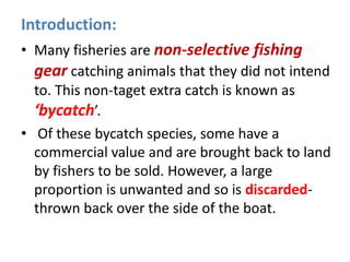 Bycatch and discards from fishing trawls | PPTX