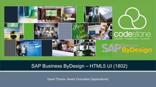 SAP Business ByDesign html 5 UI | PPTX | Operating Systems | Computer Software and Applications