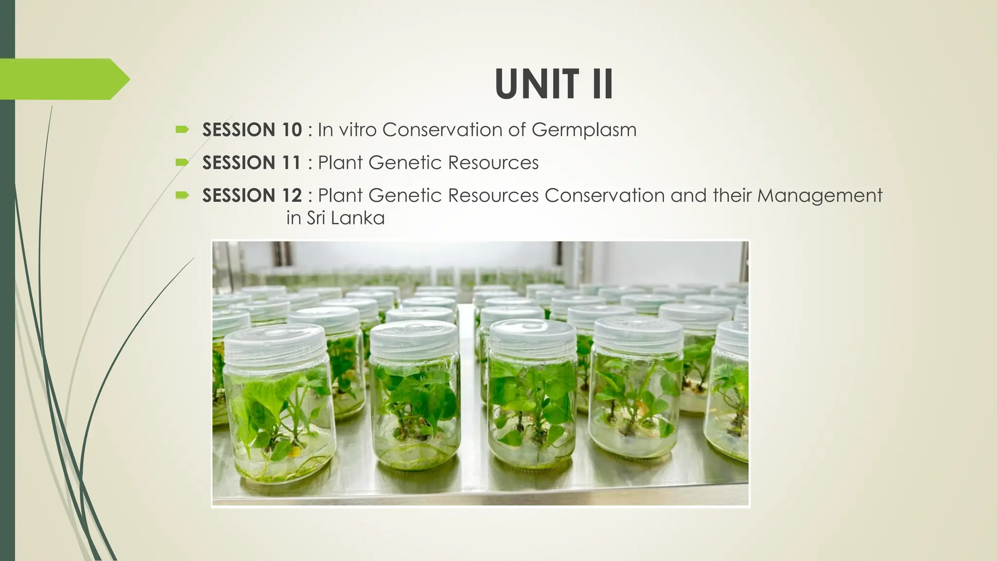 BYD3623 - Unit 2 PPT - Sessions 10 11 and 12.pdf