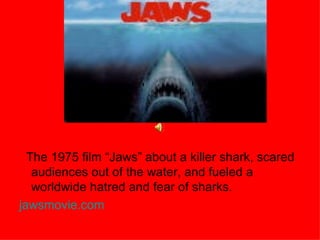 THE SHARK | PPT | Surfing and Bodyboarding | Extreme Sports