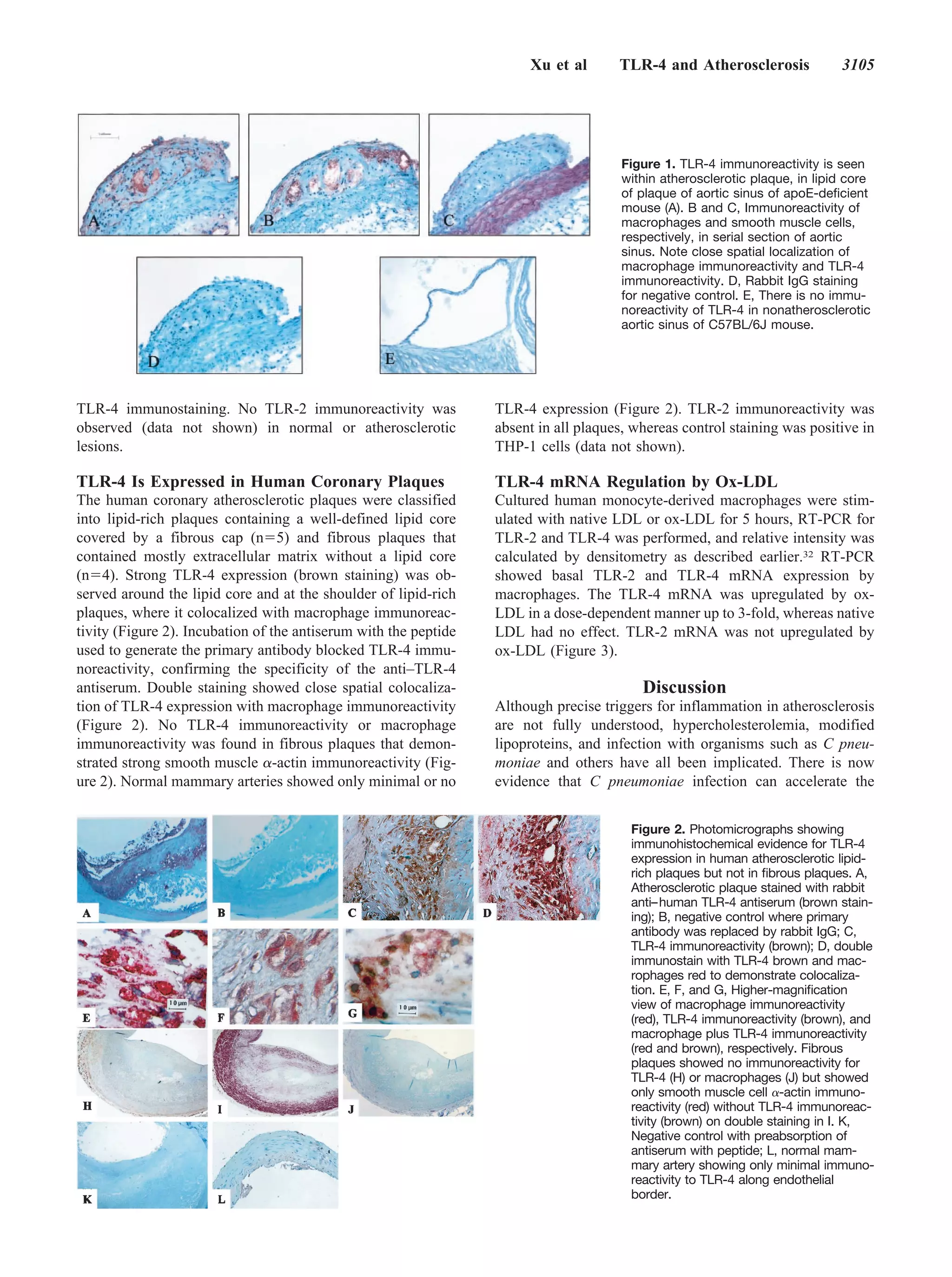 Tlr4 circulation | PDF