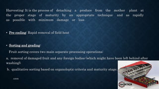 Basic Post Harvest Technologies of fruits and vegetables | PPTX