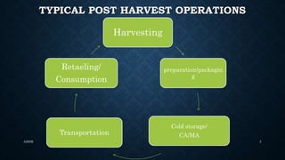 Basic Post Harvest Technologies of fruits and vegetables | PPTX