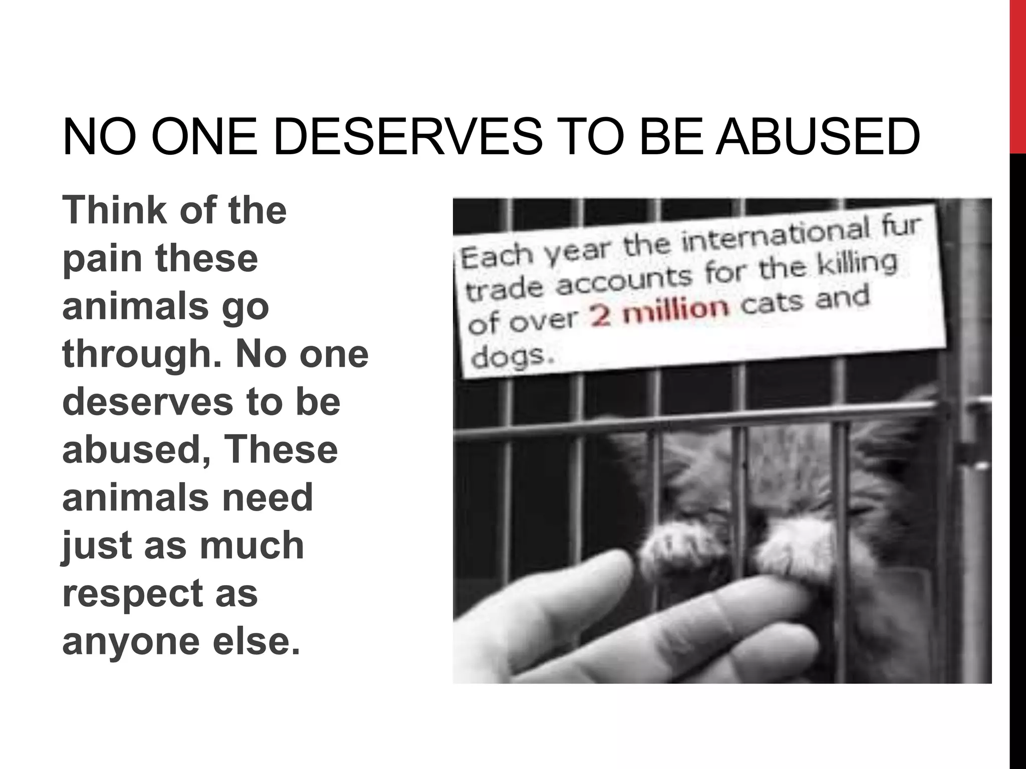 Cruelty Against Animals | PPT