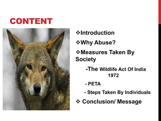 Cruelty Against Animals | PPT
