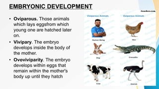 REPRODUCTION IN ANIMALS.pptx