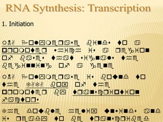By hsieh and chua central dogma of molecular biology | PPTX