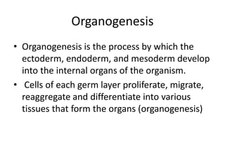 Organogenesis | PPTX