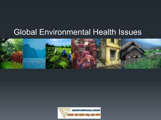 common Global Environmental Health Issues | PPTX