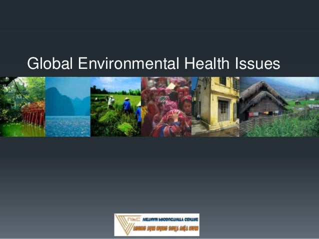 common Global Environmental Health Issues