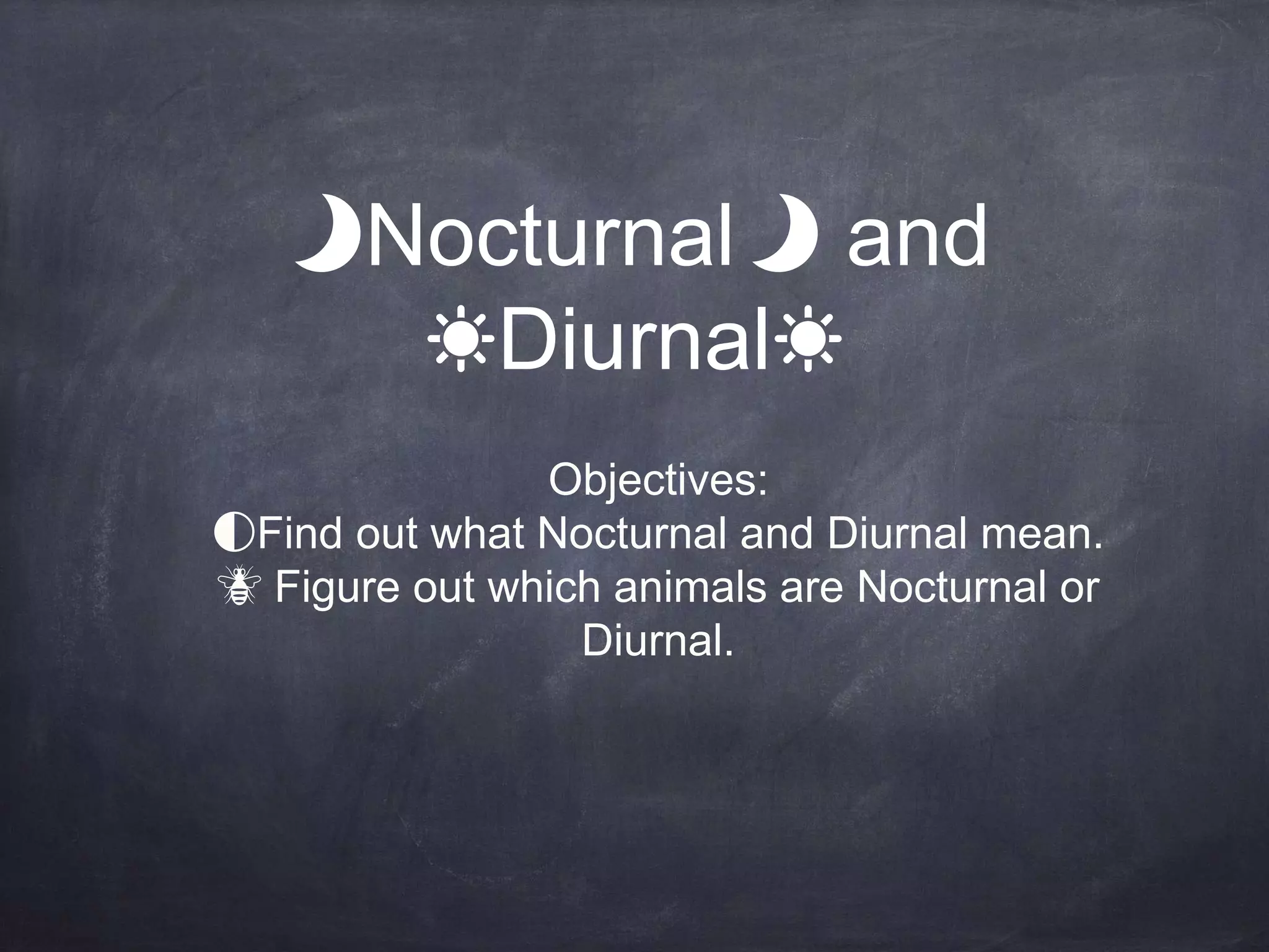 Nocternal Diurnal | PPTX