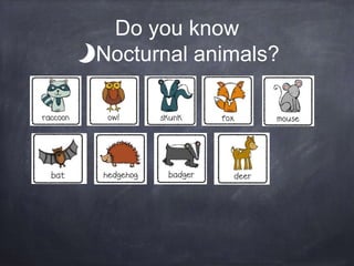 Nocternal Diurnal | PPT