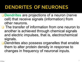 NERVOUS SYSTEM by MAMUN REJA | PPT