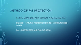 Presentation on Bypass fat in animals.pptx